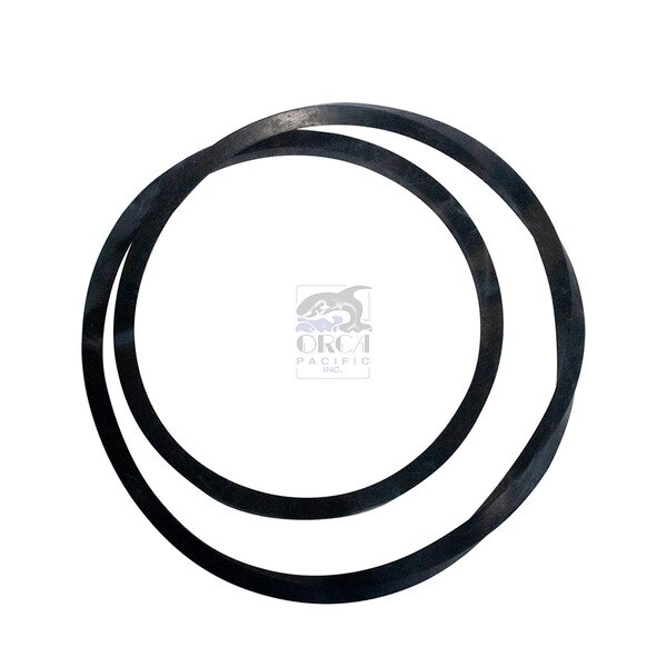O-Ring f/Closure Lid,Pentair (Square) | Orca Pacific